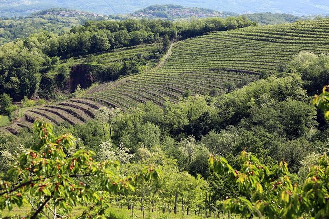 Secret vineyards E-bike tour - Practical Details and Value