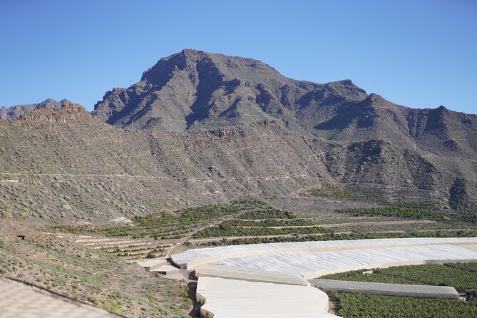 Secret Volcano Tour by Tuk Tuk in Costa Adeje - Pricing and Cancellation Policy