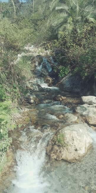 Secret Waterfall Trek - Who Will Love This Experience?