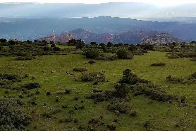 Secret Wilderness (45+ Mile) - Sedona Helicopter Tour - An In-Depth Look at Sedona’s Sky-High Experience