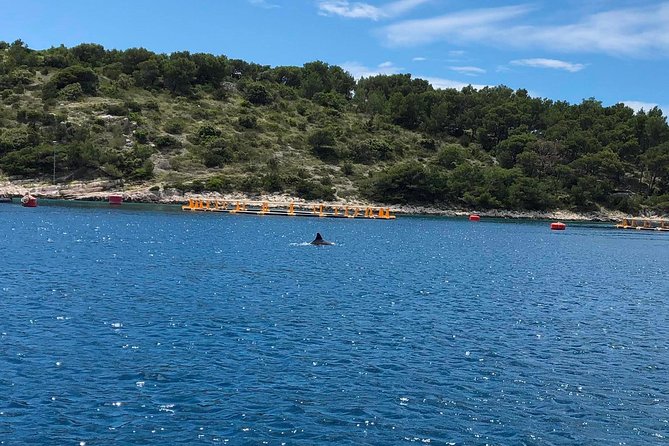 Secrets of Brac and Solta - Off the Beaten Track Croatia - Meeting and Pickup Logistics
