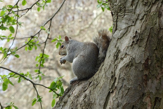 Secrets of Westminster - The Sum Up
