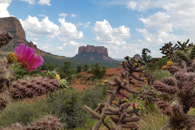Sedona and Grand Canyon Full-Day Tour - Final Thoughts