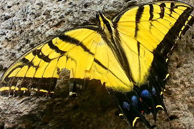 Sedona Creekside of Cathedral Rock Hike With a Private Guide - Practical Details for Travelers