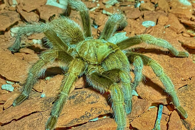 Sedona Dark Sky Sunset & Night Hike Adventure With a Private Guide - What to Expect on Your Adventure