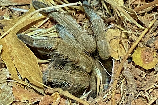 Sedona Dark Sky Sunset & Night Hike Adventure With a Private Guide - Scenic Highlights and Unique Views