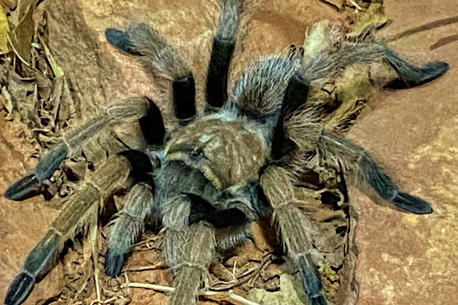 Sedona Dark Sky Sunset & Night Hike Adventure With a Private Guide - Frequently Asked Questions