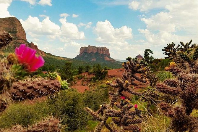 Sedona Day Trip From Phoenix - Tour Requirements and Accessibility