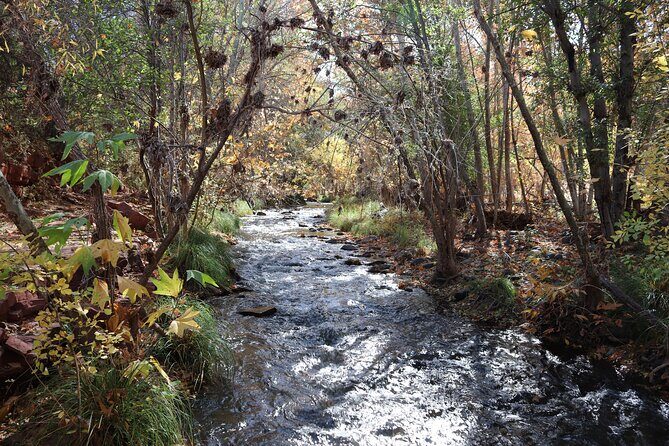 Sedona Easy Hiking Tour with a Private Guide - The Value and Who It’s Best For