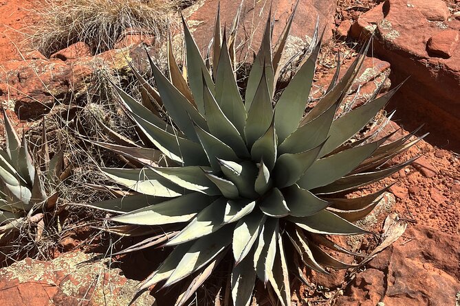 Sedona Magical Sightseeing Highlight Tour- 5 Stars - FAQs