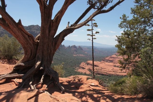 Sedona: PRIVATE 2-Hour Colorado Plateau Scenic Jeep Tour - FAQ