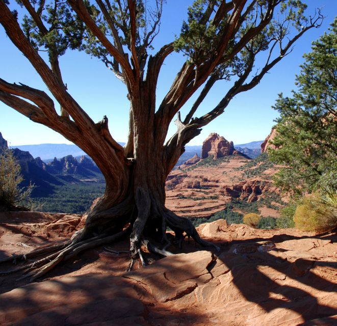 Sedona: PRIVATE 2-Hour Colorado Plateau Scenic Jeep Tour - FAQ