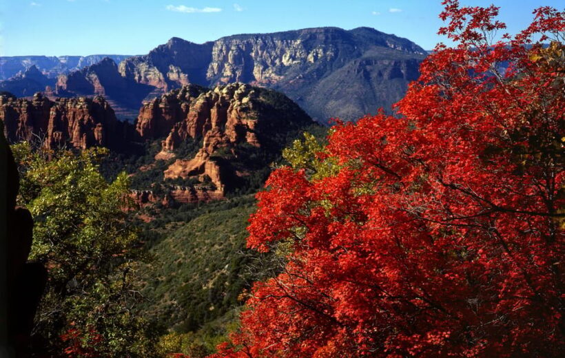 Sedona: PRIVATE Pavement 2-Hour Highlights Jeep Tour - The Value of a 2-Hour Guided Jeep Tour