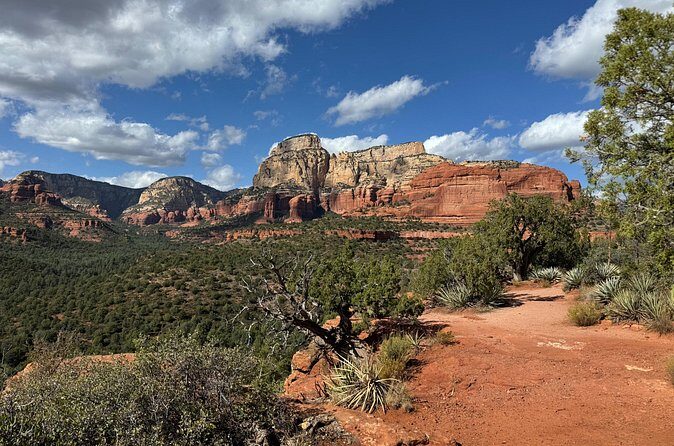 Sedona Red Rock Country Private Sightseeing Tour - Final Word