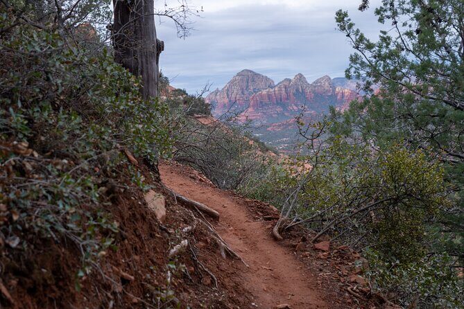 Sedona Red Rock Hike and Sights Tour - Who Will Love this Tour?