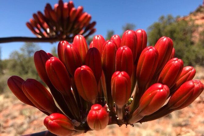 Sedona Sneak-a-Peak Hike With a Private Guide - Final Thoughts: Is It Worth It?