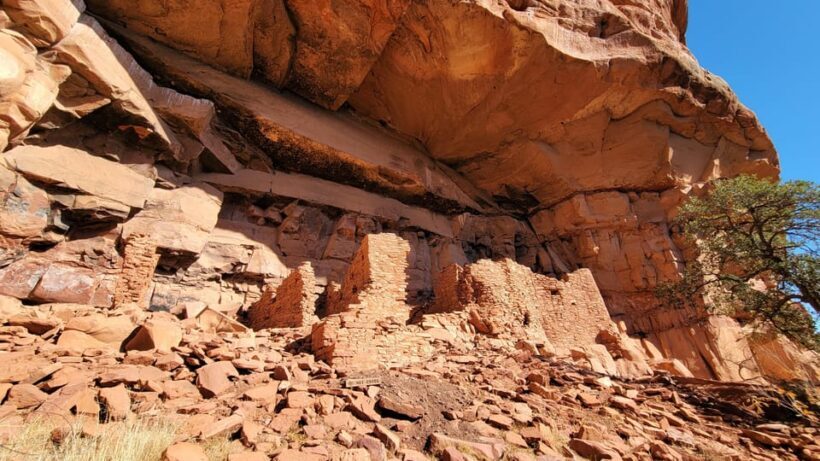 Sedona: The Scientific and Spiritual Vortex Tour - An Introduction to Sedona’s Vortex Phenomenon