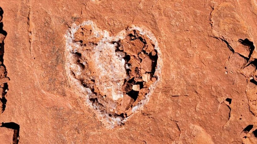 Sedona: The Scientific and Spiritual Vortex Tour - The Itinerary: What to Expect