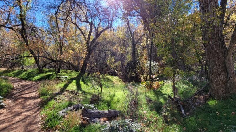 Sedona: The Scientific and Spiritual Vortex Tour - FAQ