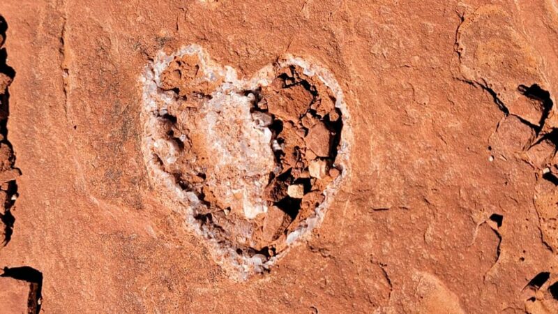 Sedona: The Scientific and Spiritual Vortex Tour - Authentic Perspectives from Travelers