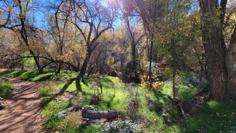 Sedona: The Scientific and Spiritual Vortex Tour - Final Thoughts