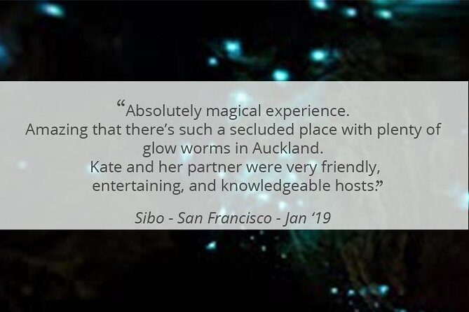 See Auckland's Secret Glow Worms - Final Thoughts: Is This Tour Worth It?