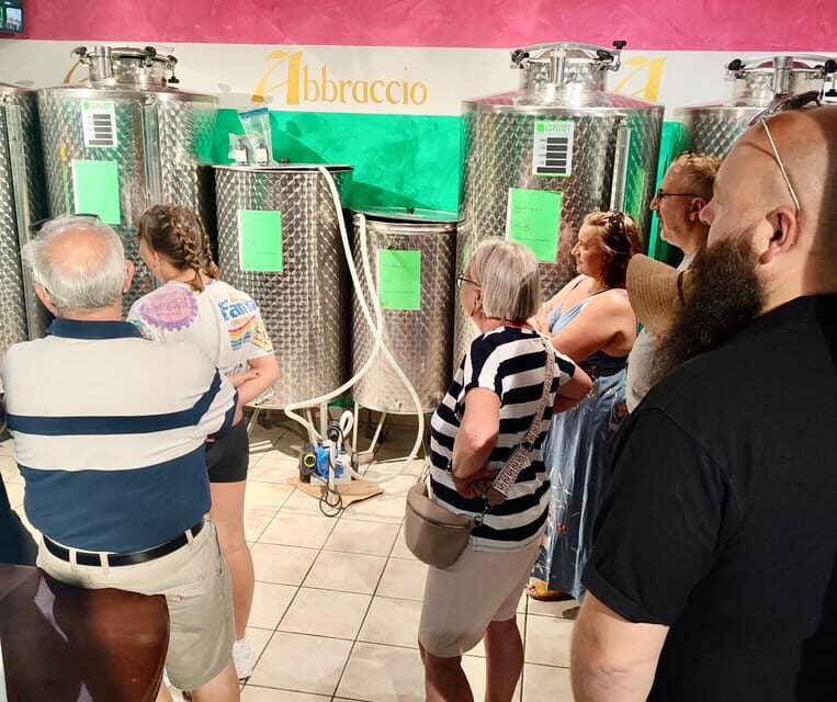 Seggiano: Extra Virgin Olive Oil Museum Visit and Tasting - The Itinerary in Detail