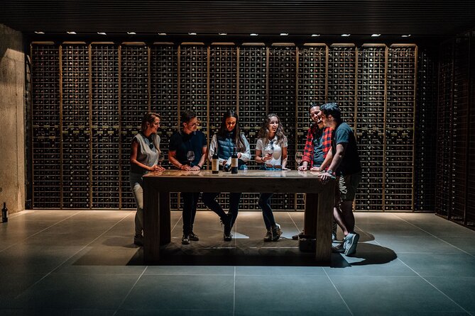 Segovia & Ribera Del Duero Winery With Wine Tasting From Madrid - Meeting Point and Transportation