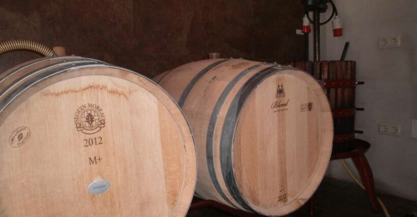Segovia: Winery Tour with Wine Tasting - What to Expect from Your Winery Visit