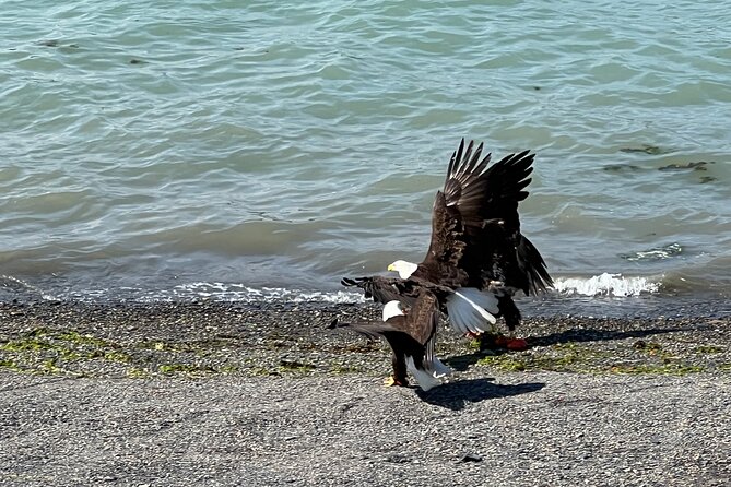 Segway Coastal Scenic Rainforest Tour - FAQ