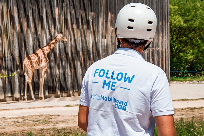 Segway Grand Tour of Lyon - 2-hours - Meeting Details