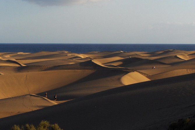Segway Sunset or Morning Experience: Maspalomas Dunes, S. Agustin - The Practicalities: What You Should Know