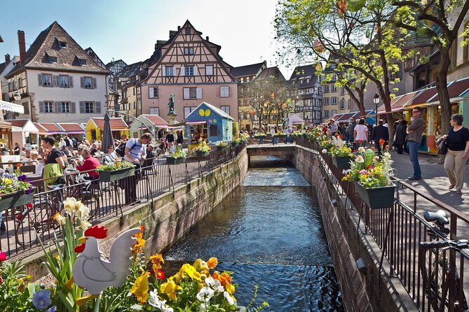Segway Tours 2h in Colmar Review - About Your Stay