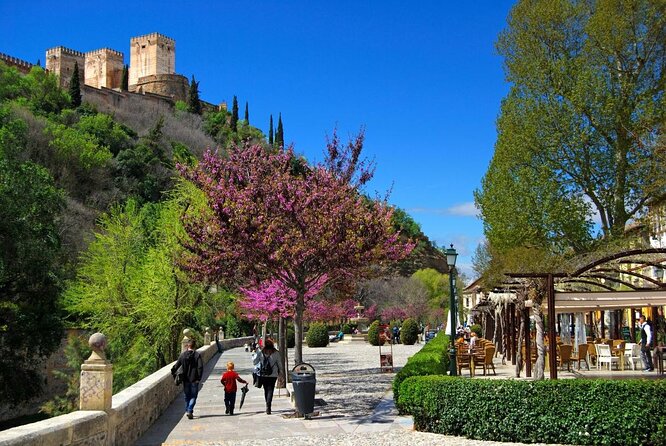 Segway Your Way Through Granada's History: The Ultimate Ride - What to Expect During the Tour