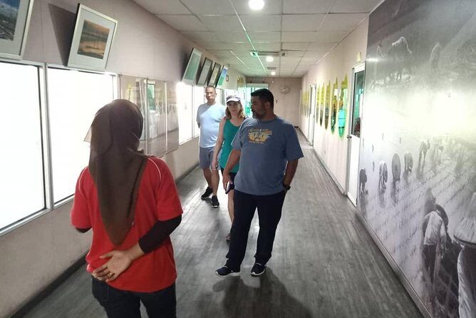 Sekinchan Paddy Field And Fishing Village From Kuala Lumpur - An In-Depth Look at the Sekinchan Experience