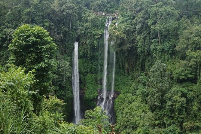 Sekumpul waterfall & aling2 waterfall with private service (including activity) - FAQs