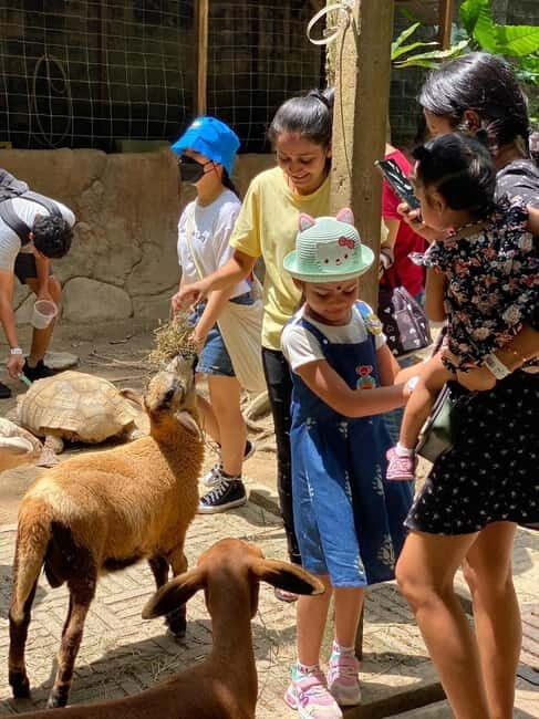 Selangor: Farm In The City Entry Ticket - Who Will Love This Experience?