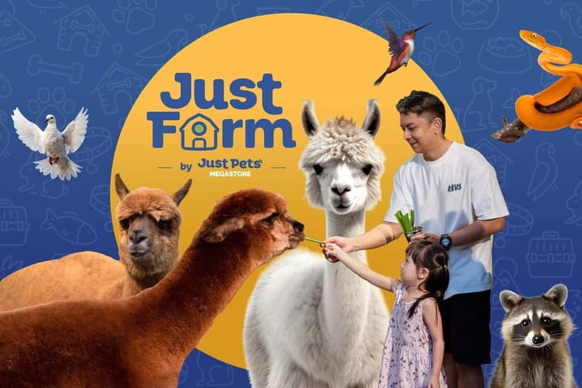 Selangor : Just Farm at Just Pets Megastore Ticket - A Closer Look at the Experience