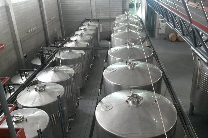 Selection Tasting | Quinta de Santa Cristina Vinho Verde - Who Will Love This Tour?