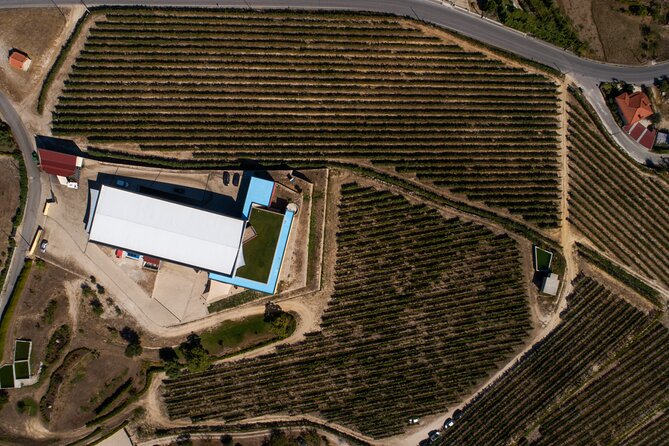 Selection Tasting | Quinta de Santa Cristina Vinho Verde - The Sum Up