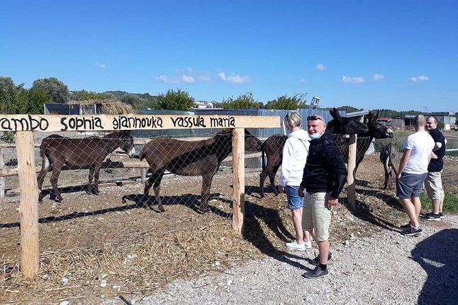 Self Drive 4x4 Jeep Safari - Pick Ups in the North - Culinary Delights of the Tour