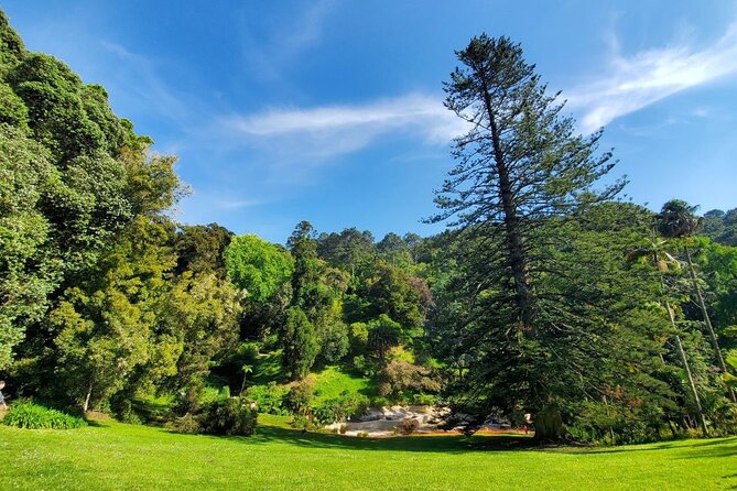 Self-Drive Tour - Quinta Da Regaleira & Monserrate - Navigating the Self-Drive Experience