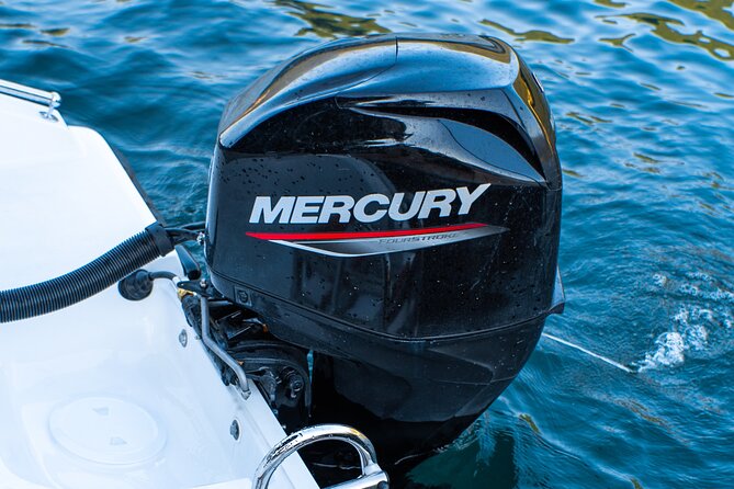 Self Driving Boats on Lake Como - Service and Responsiveness