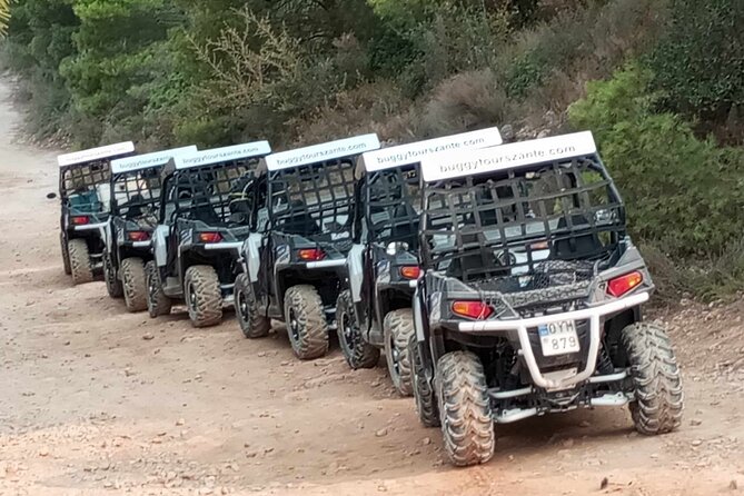 Self-Driving Off-Road Buggy Tour With Experienced Guide - Participant Information