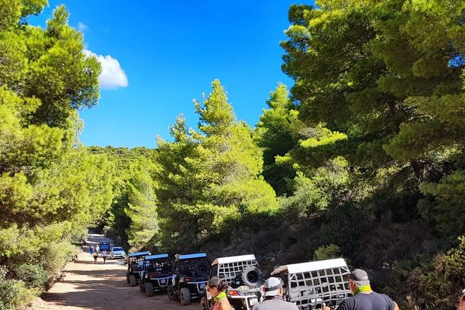 Self-Driving Off-Road Buggy Tour With Experienced Guide - Buggy Specifications and Safety