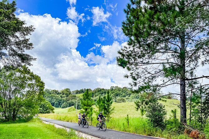 Self Guide E Bike Tour - Husk Distillery, Rainforest & Rail Trail - A Detailed Look at the Experience