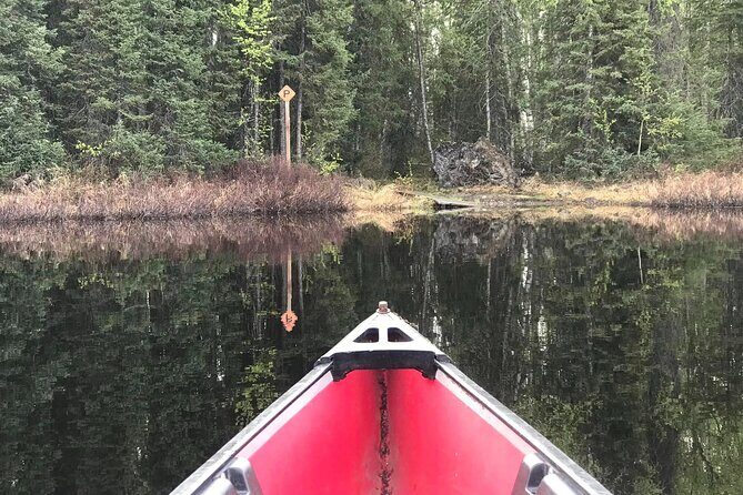 Self-Guided Alaskan Canoe Adventure - The Nancy Lakes Recreation Area: A Stunning Playground