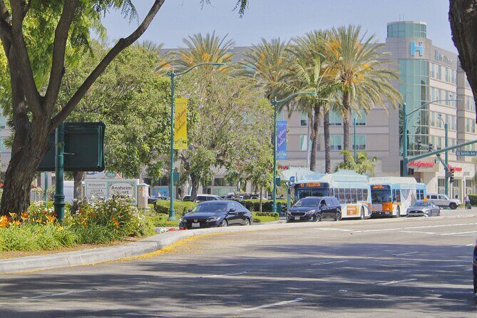 Self-Guided Anaheim Scavenger Hunt: Anaheim Grapes To Glory - FAQ