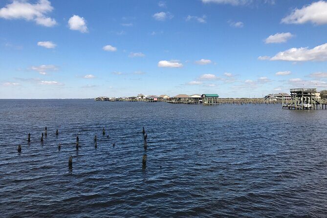 Self-Guided Audio Driving Tour in Creole Nature Trail - Introduction: a Self-Guided Louisiana Adventure