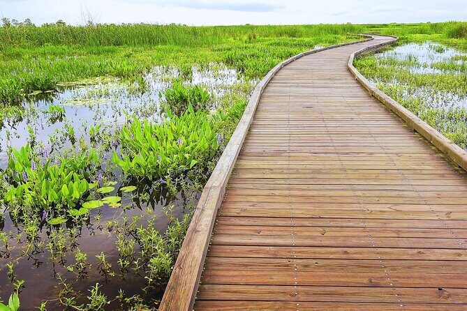 Self-Guided Audio Driving Tour in Creole Nature Trail - What’s Included & What’s Not
